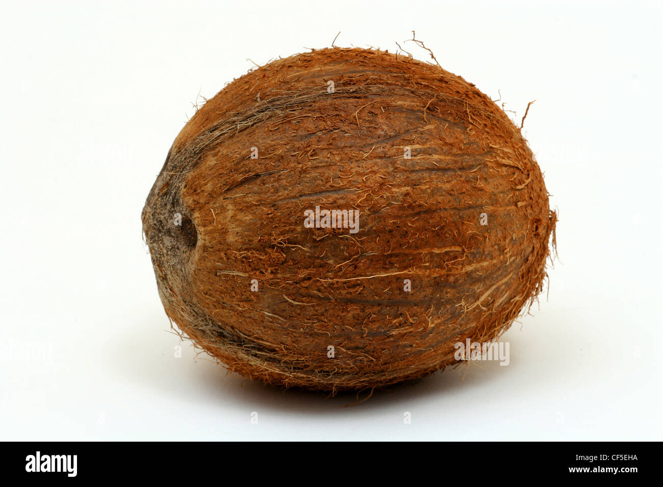 A cut out of a whole coconut Stock Photo - Alamy