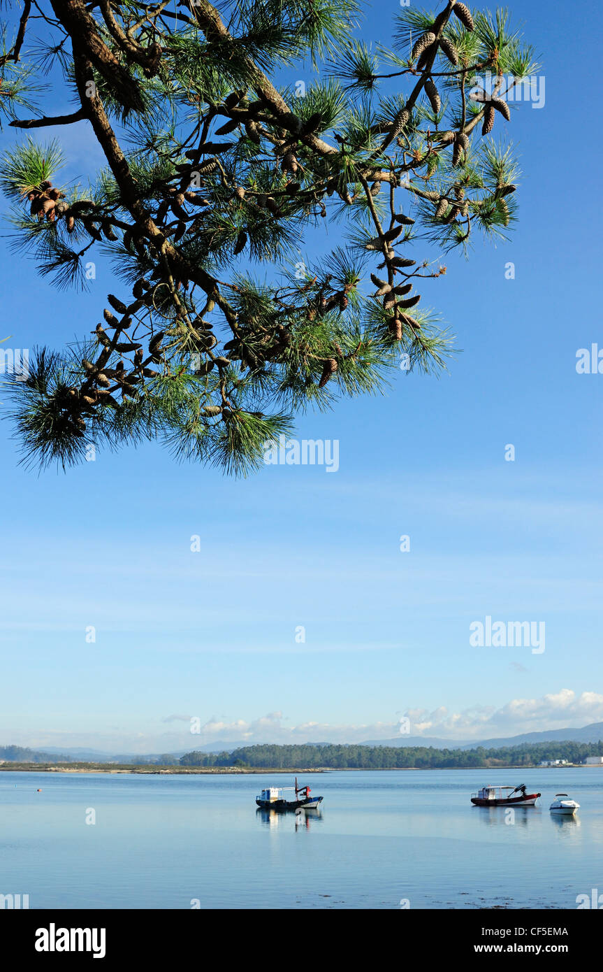 O grove fishing pontevedra hi-res stock photography and images - Alamy