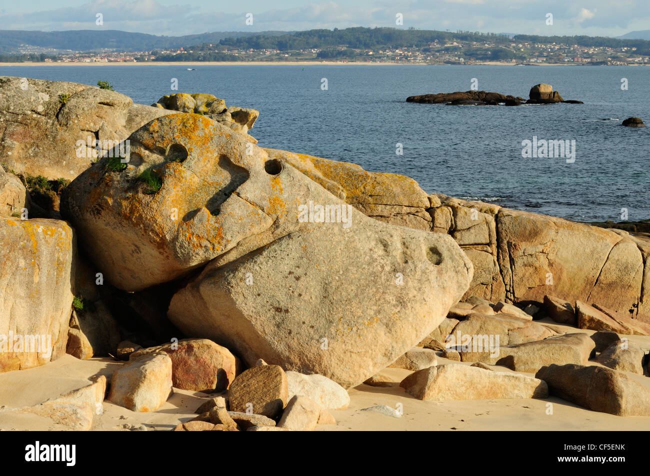 O grove hi-res stock photography and images - Alamy