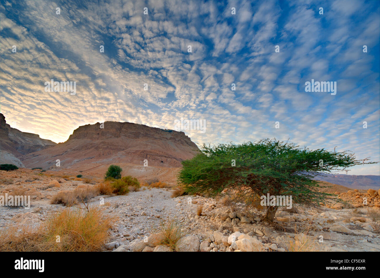 Masada, site of a historic siege by Roman Legions on Sicarii Jews who ...