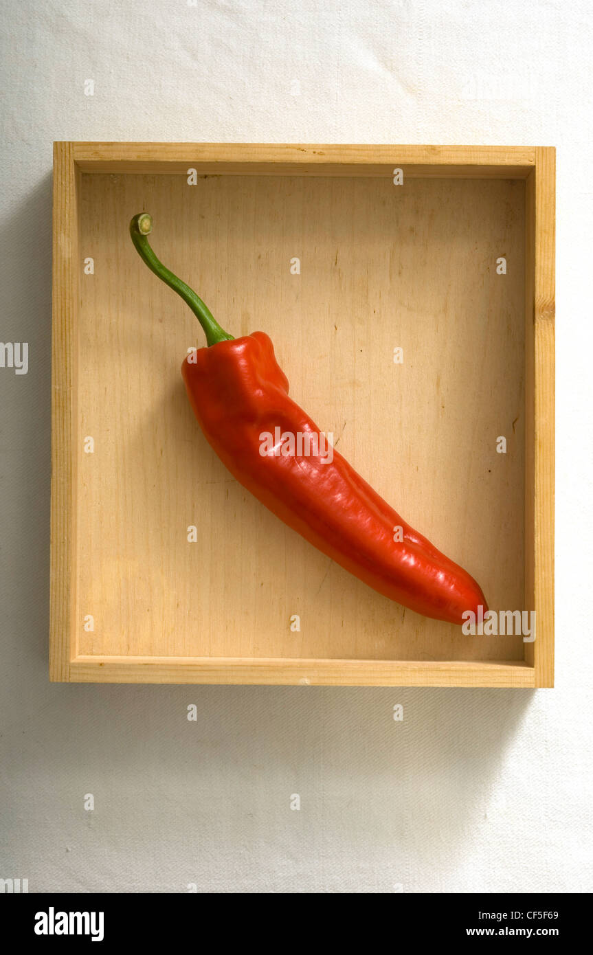 An italian red pepper, in a wooden box on a white background Stock ...