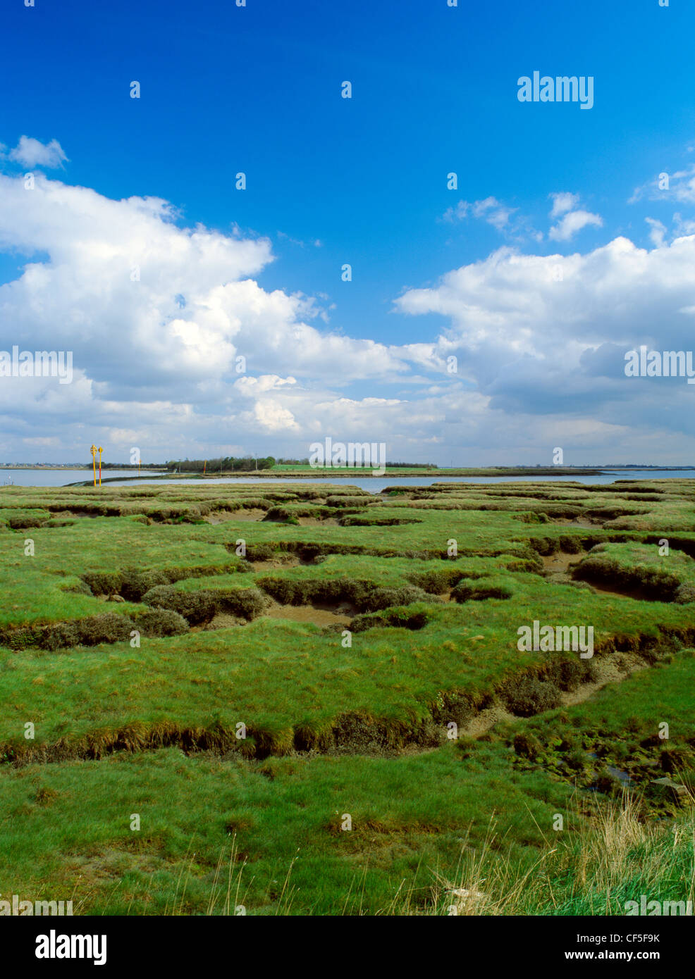 River pant essex hi-res stock photography and images - Alamy