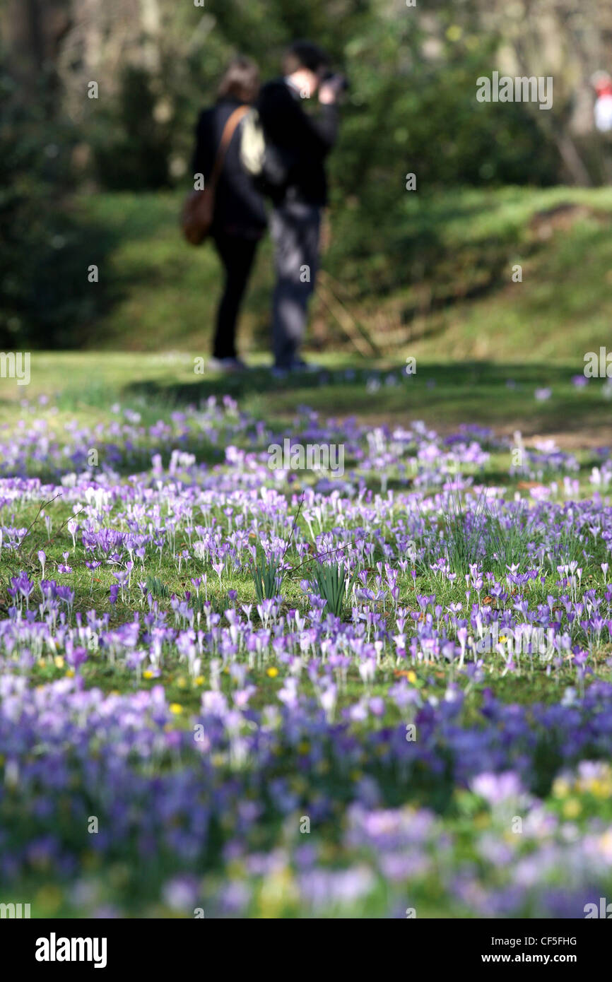 Spring flowers on cambridge backs hi-res stock photography and images ...