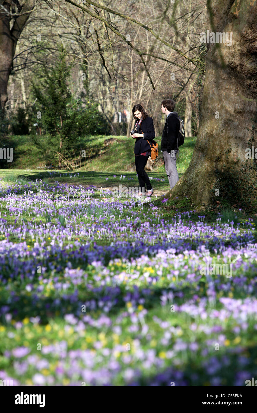 Spring flowers on cambridge backs hi-res stock photography and images ...