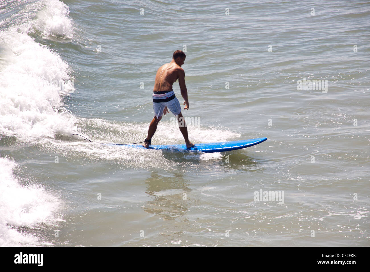 surfer riding the waves on a florida beach Stock Photo - Alamy