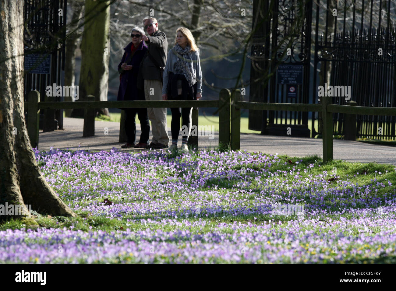 Spring flowers on cambridge backs hi-res stock photography and images ...