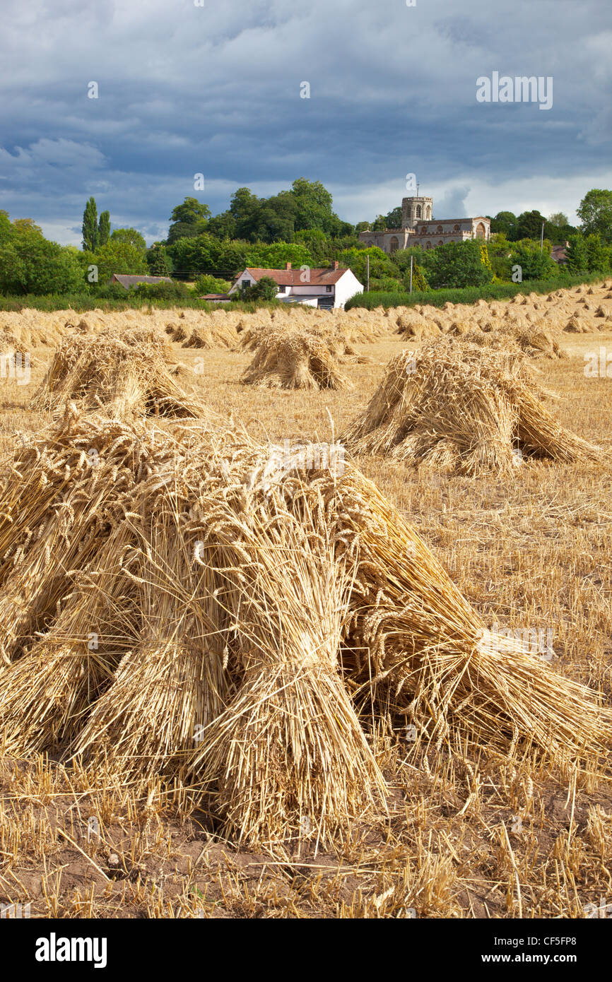 Drying stacks hi-res stock photography and images - Alamy