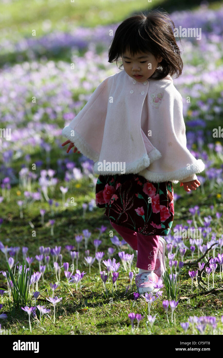 Spring flowers on cambridge backs hi-res stock photography and images ...