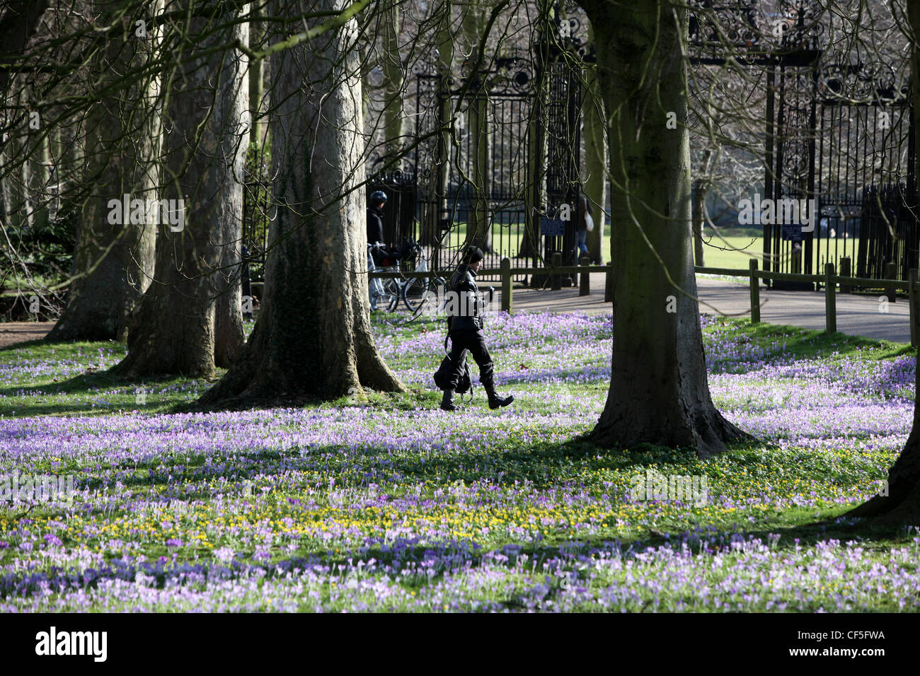 Spring flowers on cambridge backs hi-res stock photography and images ...