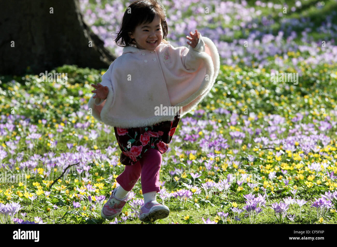 Spring flowers on cambridge backs hi-res stock photography and images ...