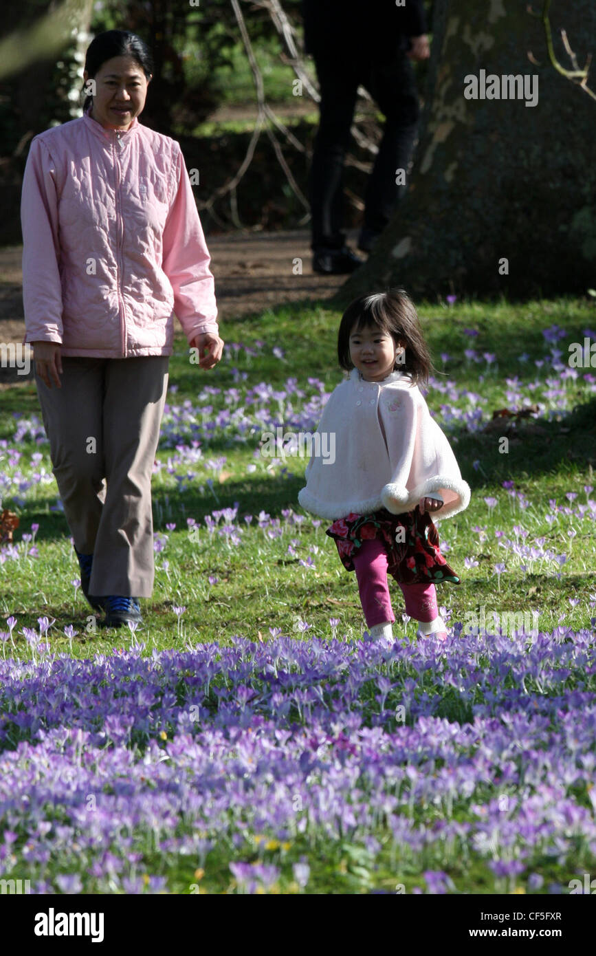 Spring flowers on cambridge backs hi-res stock photography and images ...