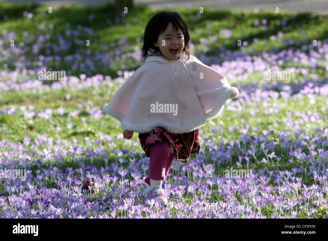 Spring flowers on cambridge backs hi-res stock photography and images ...