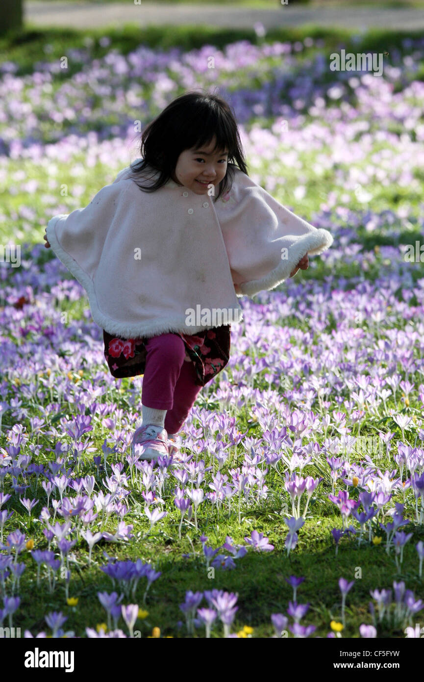 Spring flowers on cambridge backs hi-res stock photography and images ...