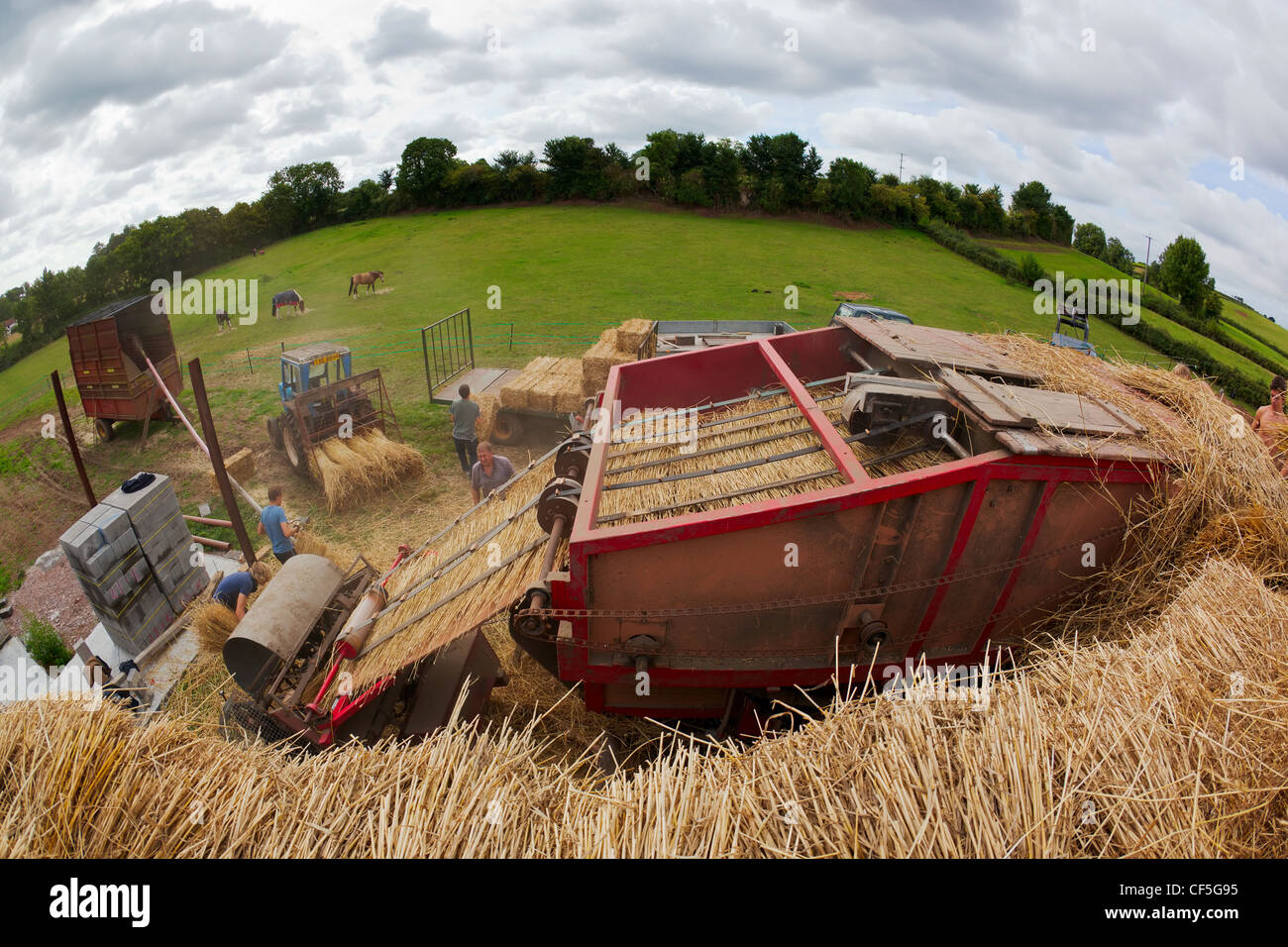 Wheat threshing hi-res stock photography and images - Alamy