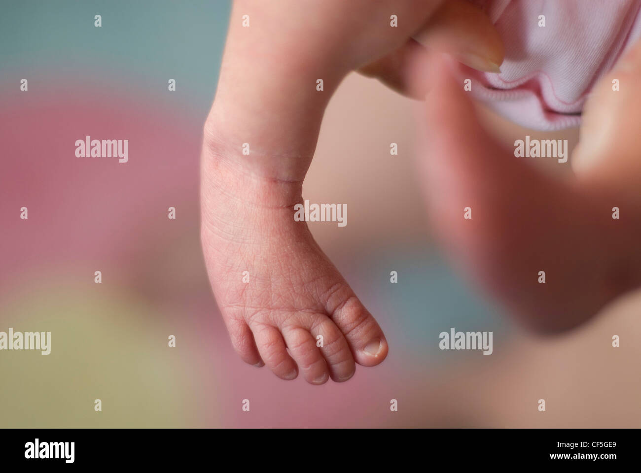 A close up of a newborn Female baby's feet Stock Photo - Alamy