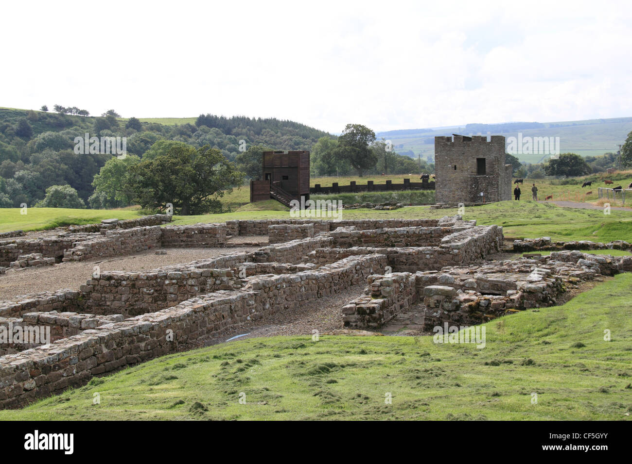Vindolanda roman fort northumberland england ian hi-res stock ...