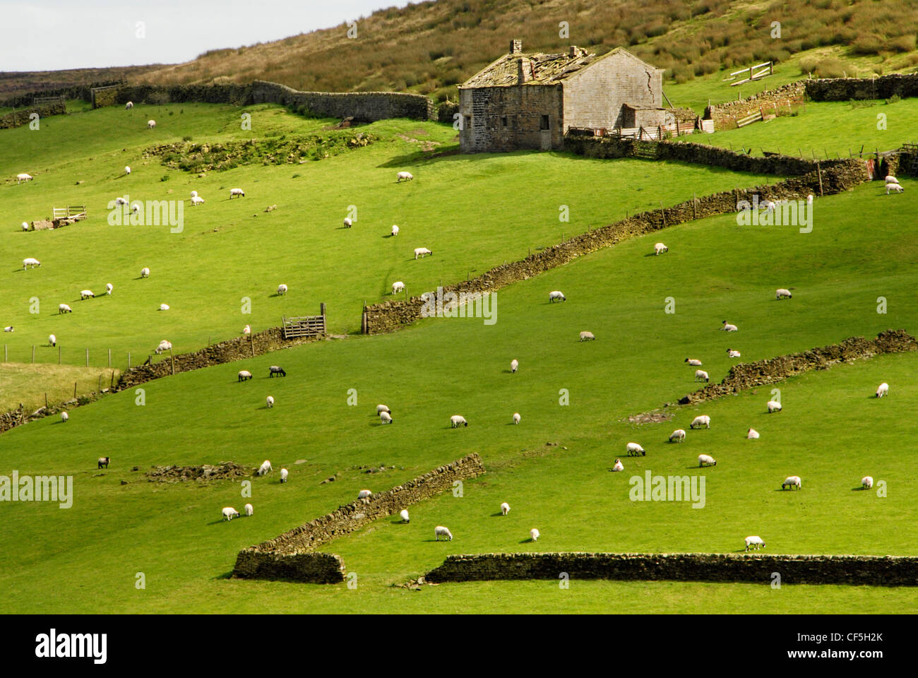 Haworth pennine moors hi-res stock photography and images - Alamy