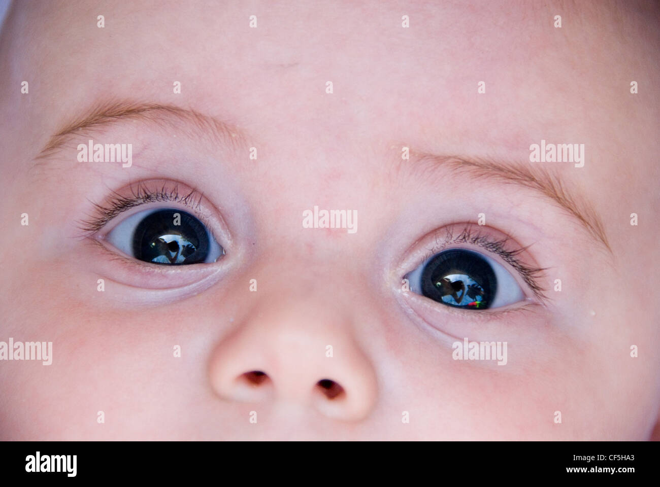 A close up of a female baby's face with a surprised expression Stock ...
