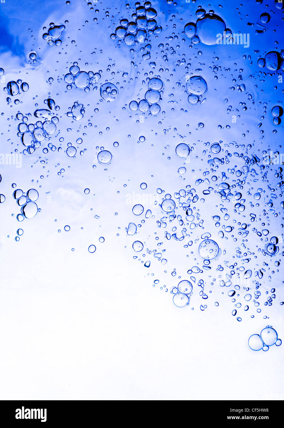 Underwater Looking Up Bubbles