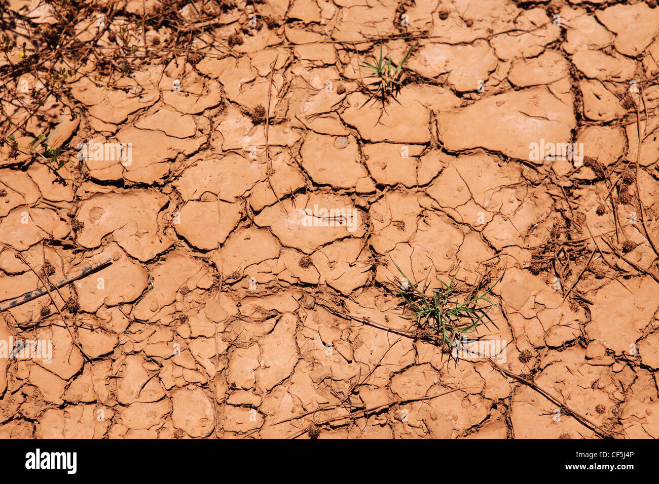 Australia drought dry cracked earth hi-res stock photography and images ...