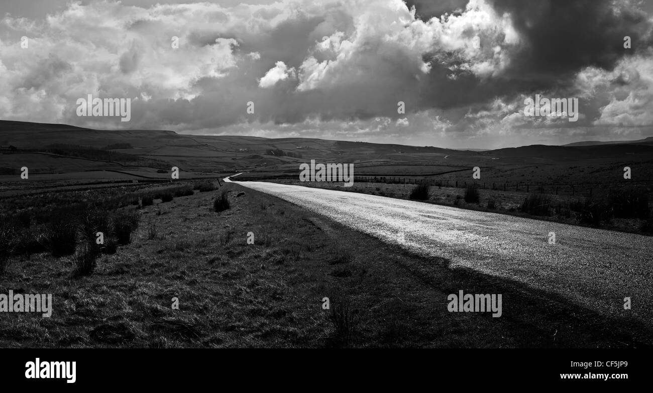 Mosses ground Black and White Stock Photos & Images - Alamy