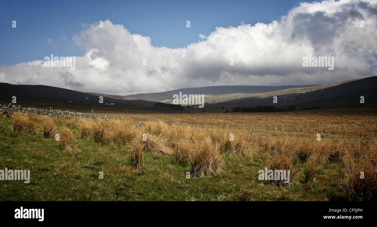 Durham moors hi-res stock photography and images - Alamy