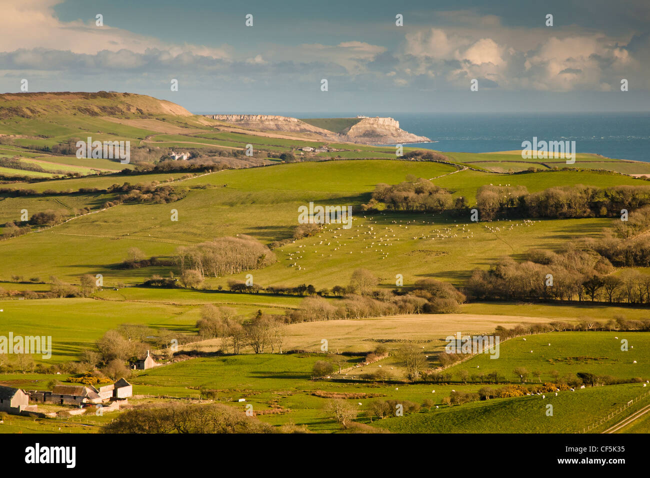Purbeck hills purbecks countryside hi-res stock photography and images ...