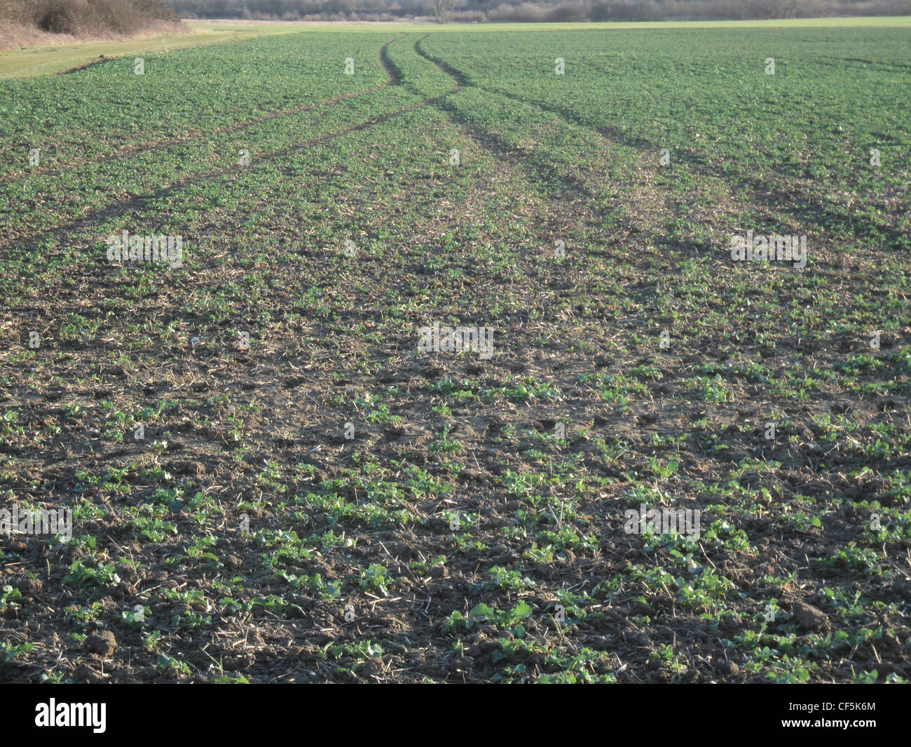 Yorkshire farmland hi-res stock photography and images - Alamy