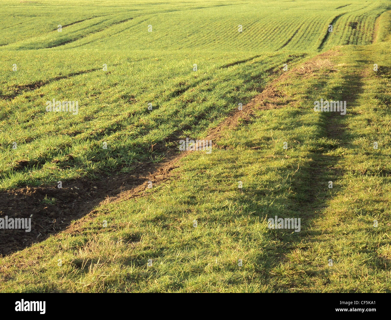 Yorkshire farmland hi-res stock photography and images - Alamy