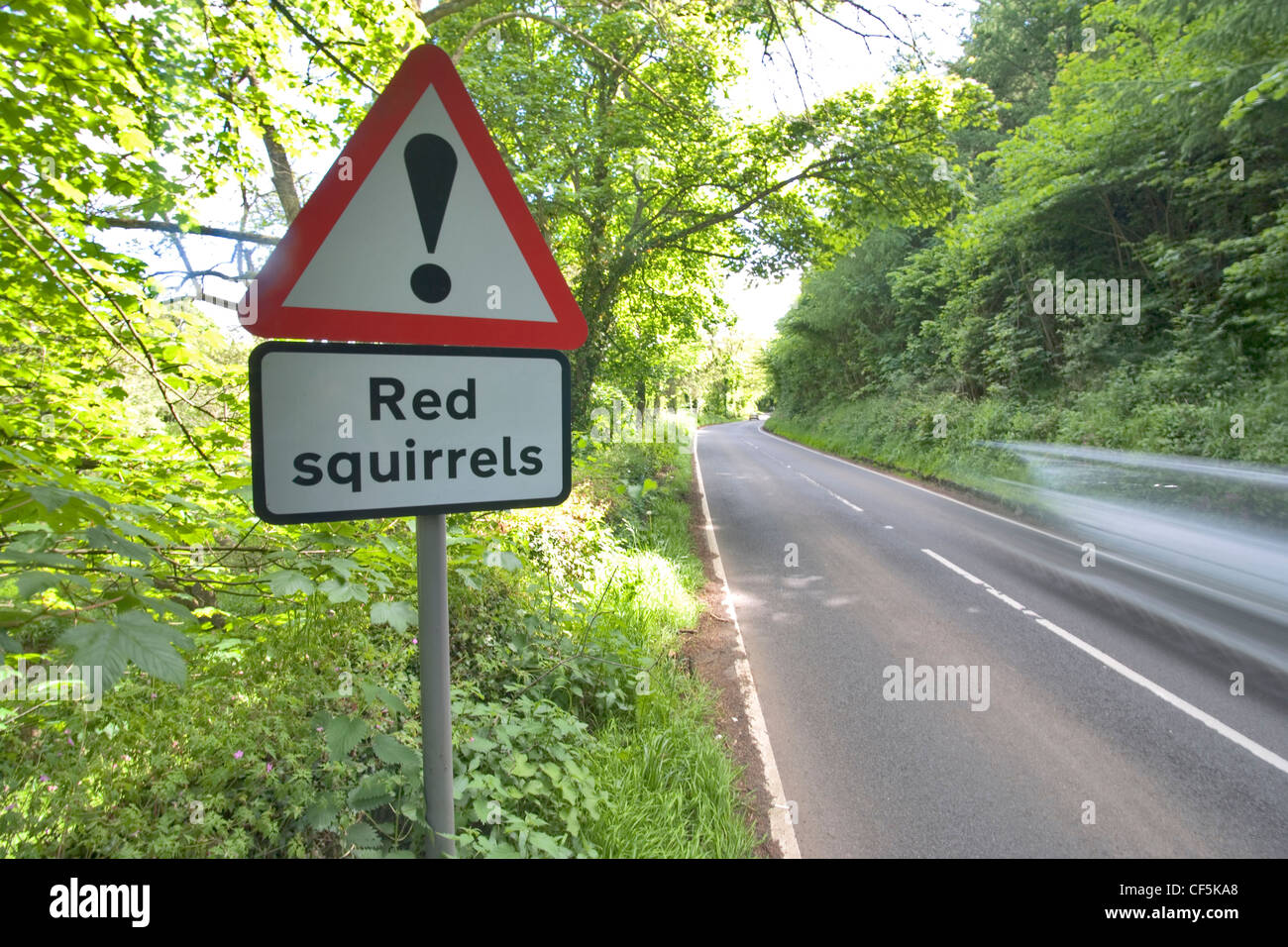 Squirrel road sign hi-res stock photography and images - Alamy