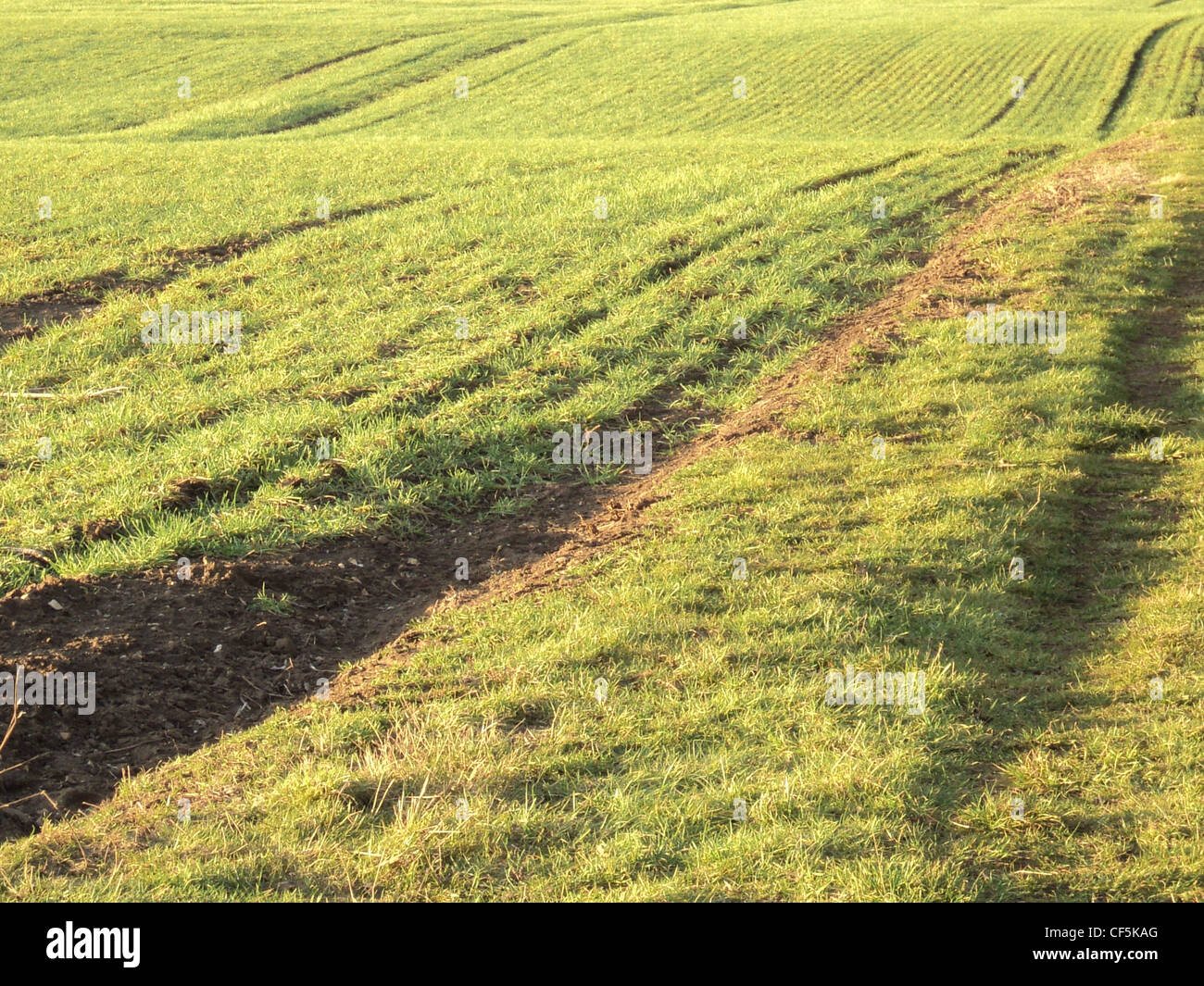Yorkshire farmland hi-res stock photography and images - Alamy
