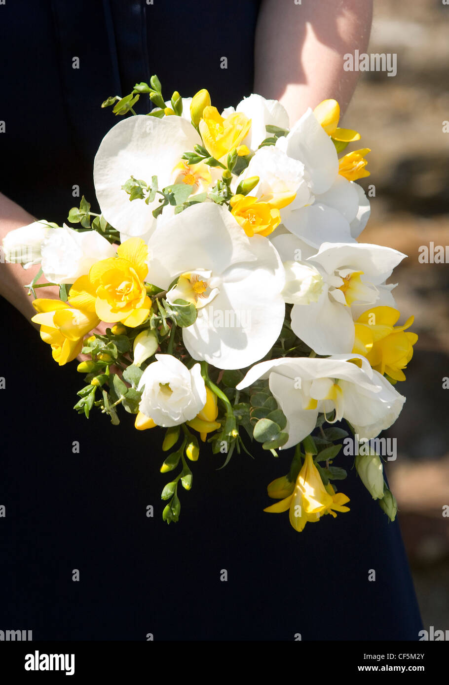 Stonehouse photographic hi-res stock photography and images - Alamy