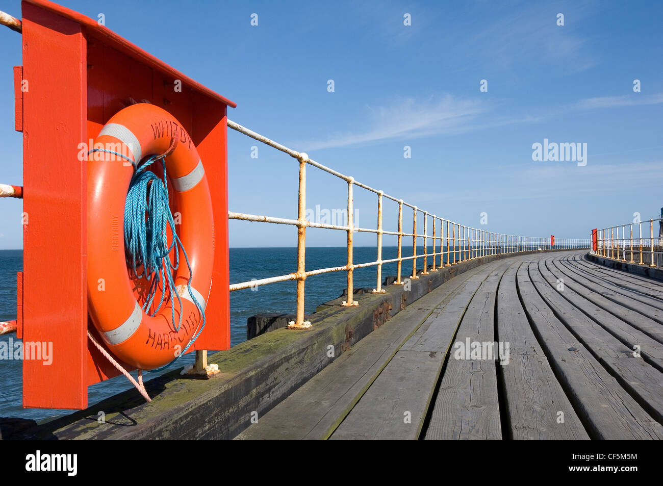 Sea Life Belts High Resolution Stock Photography and Images - Alamy