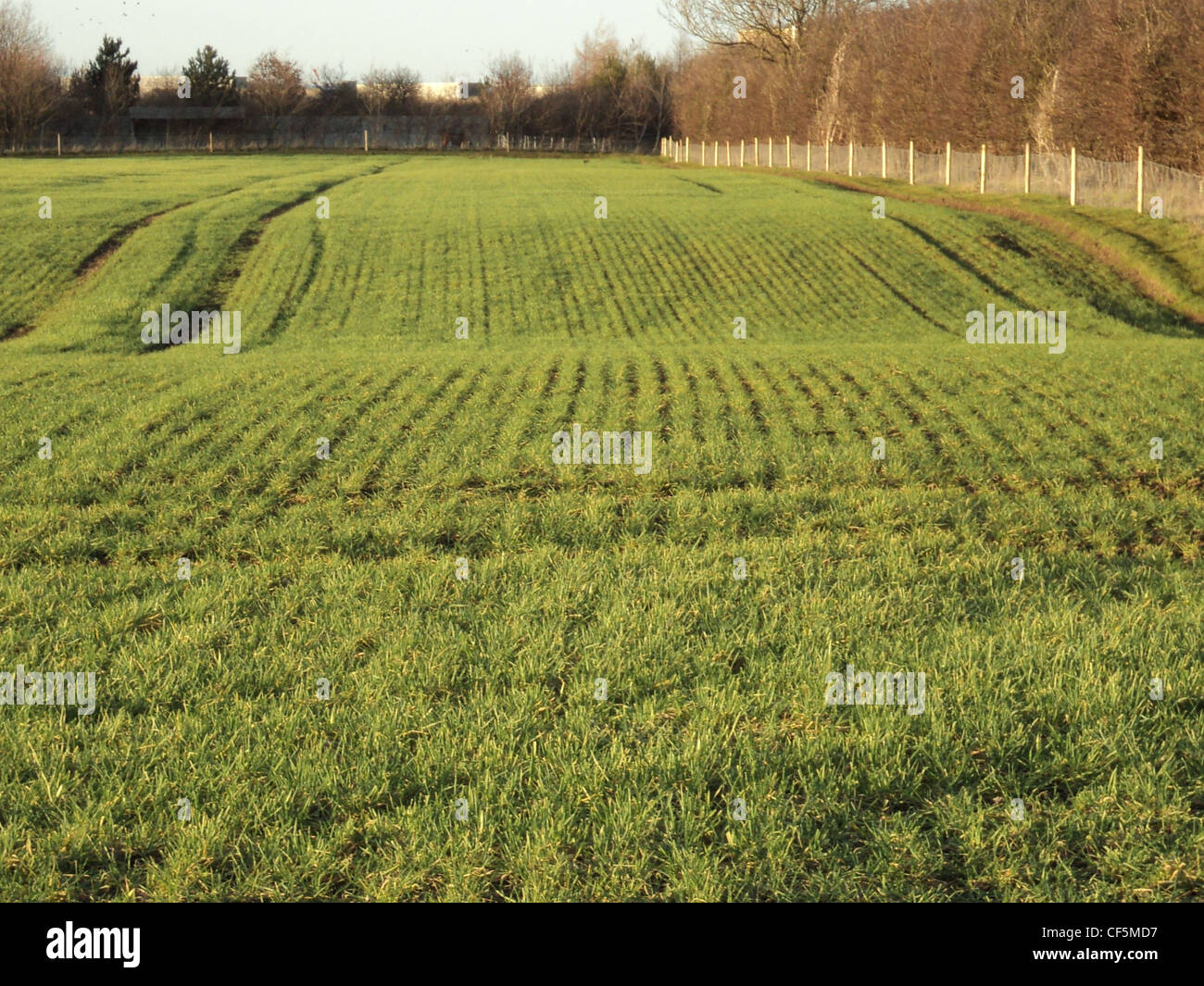 Fields, Beverley, Yorkshire, Farmland Stock Photo - Alamy