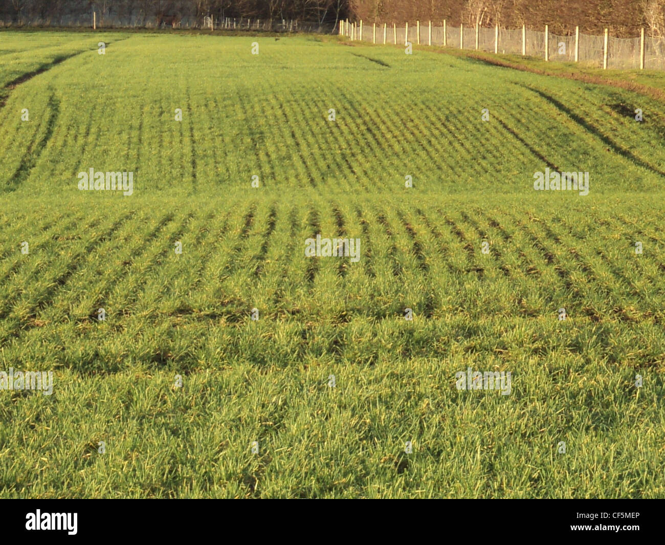 Fields, Beverley, Yorkshire, Farmland Stock Photo - Alamy