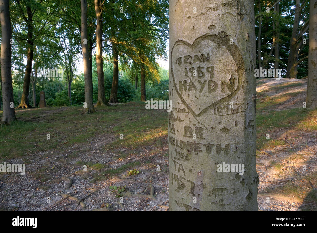 Wood Carvings Tree High Resolution Stock Photography and Images - Alamy