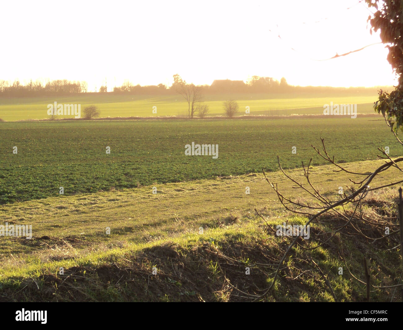 Fields, Beverley, Yorkshire, Farmland Stock Photo - Alamy