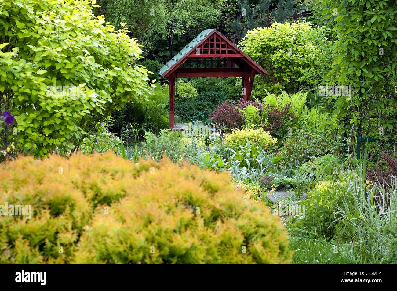 Autumn alley in fall park In Poland Stock Photo - Alamy