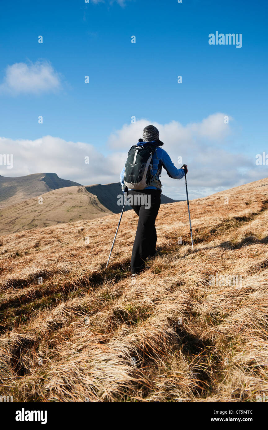 Female hiker hiking small trail towards Fan Y Big, Brecon Beacons ...