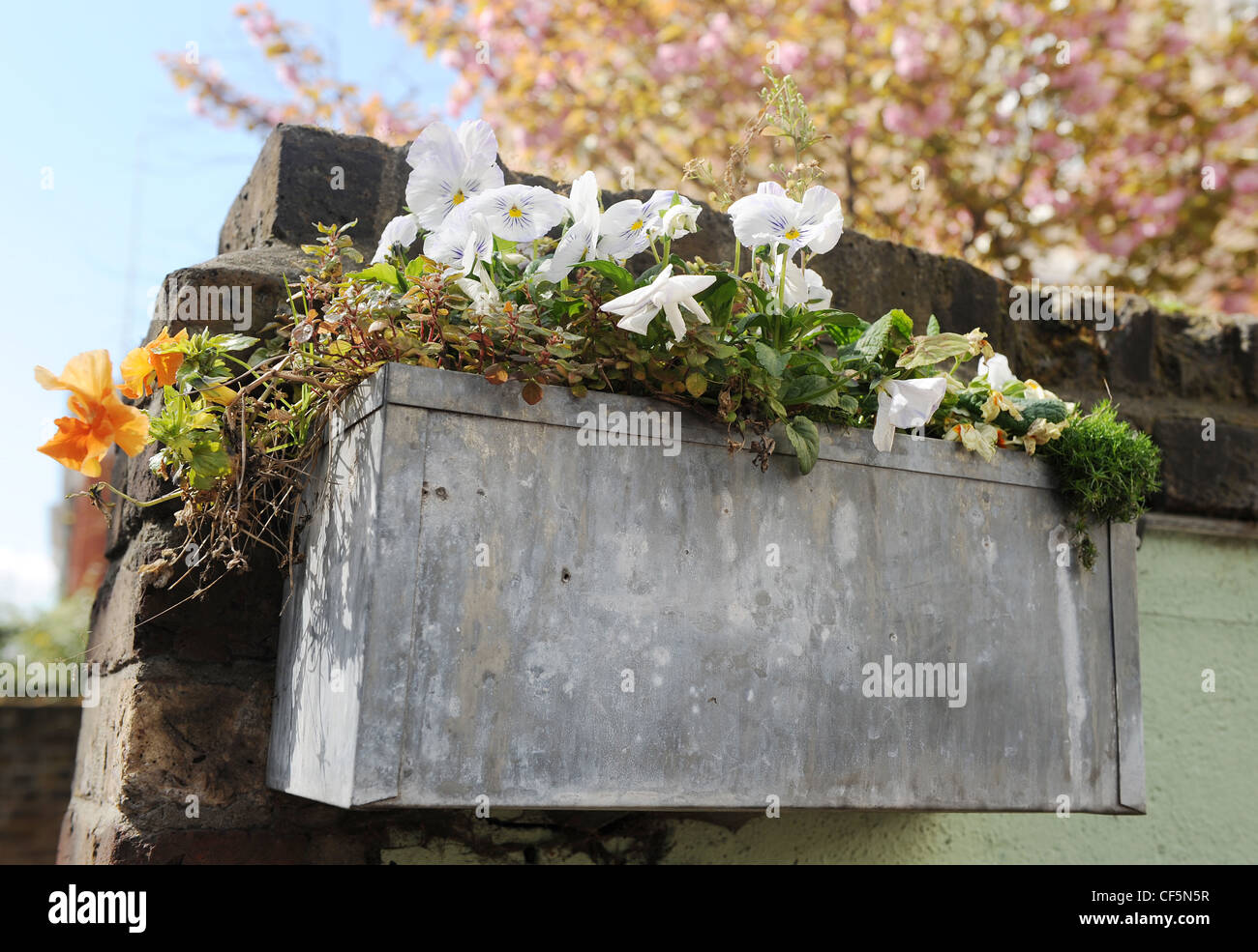 Flower box hi-res stock photography and images - Alamy