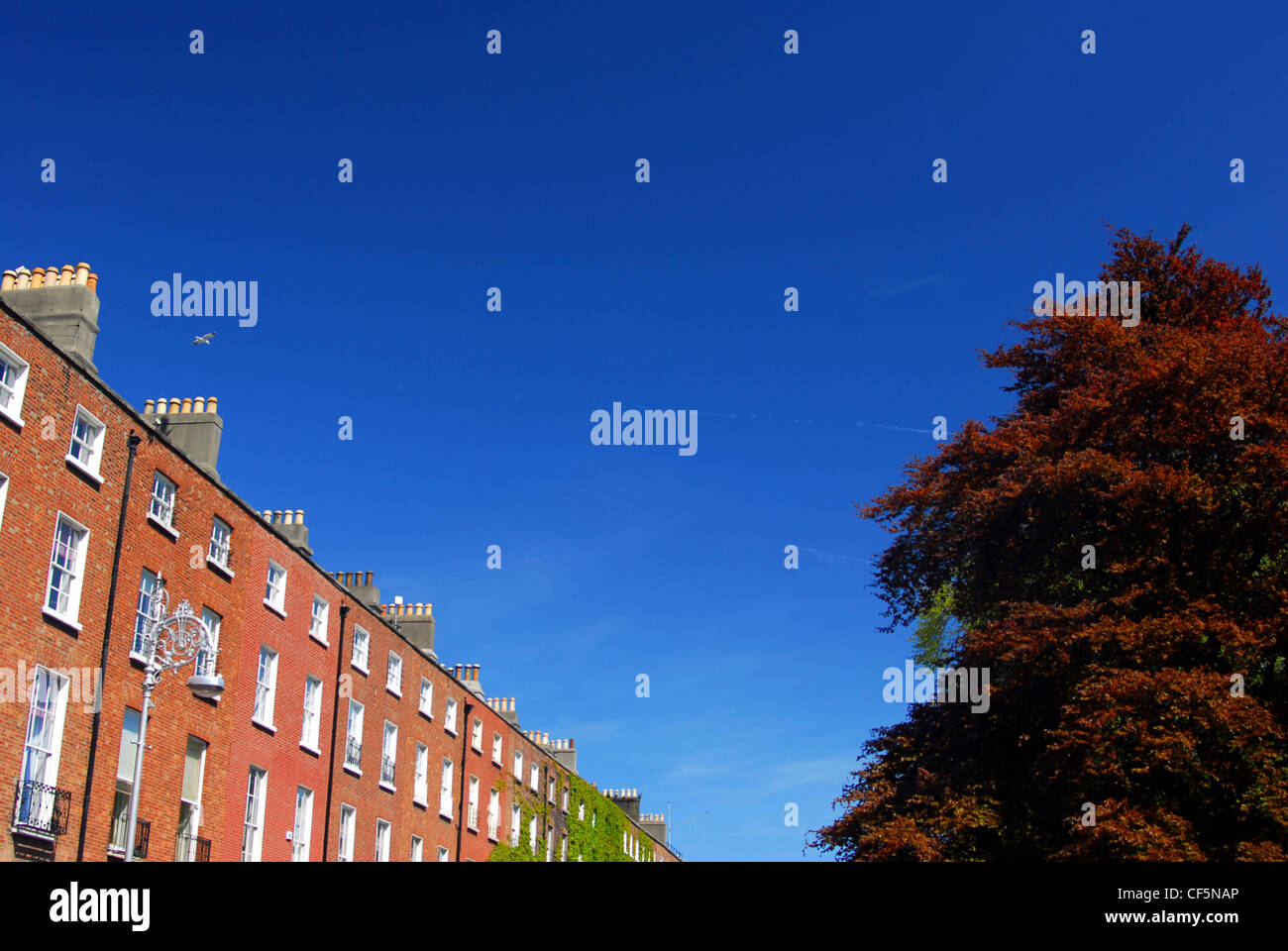 Fitzwilliam square hi-res stock photography and images - Alamy
