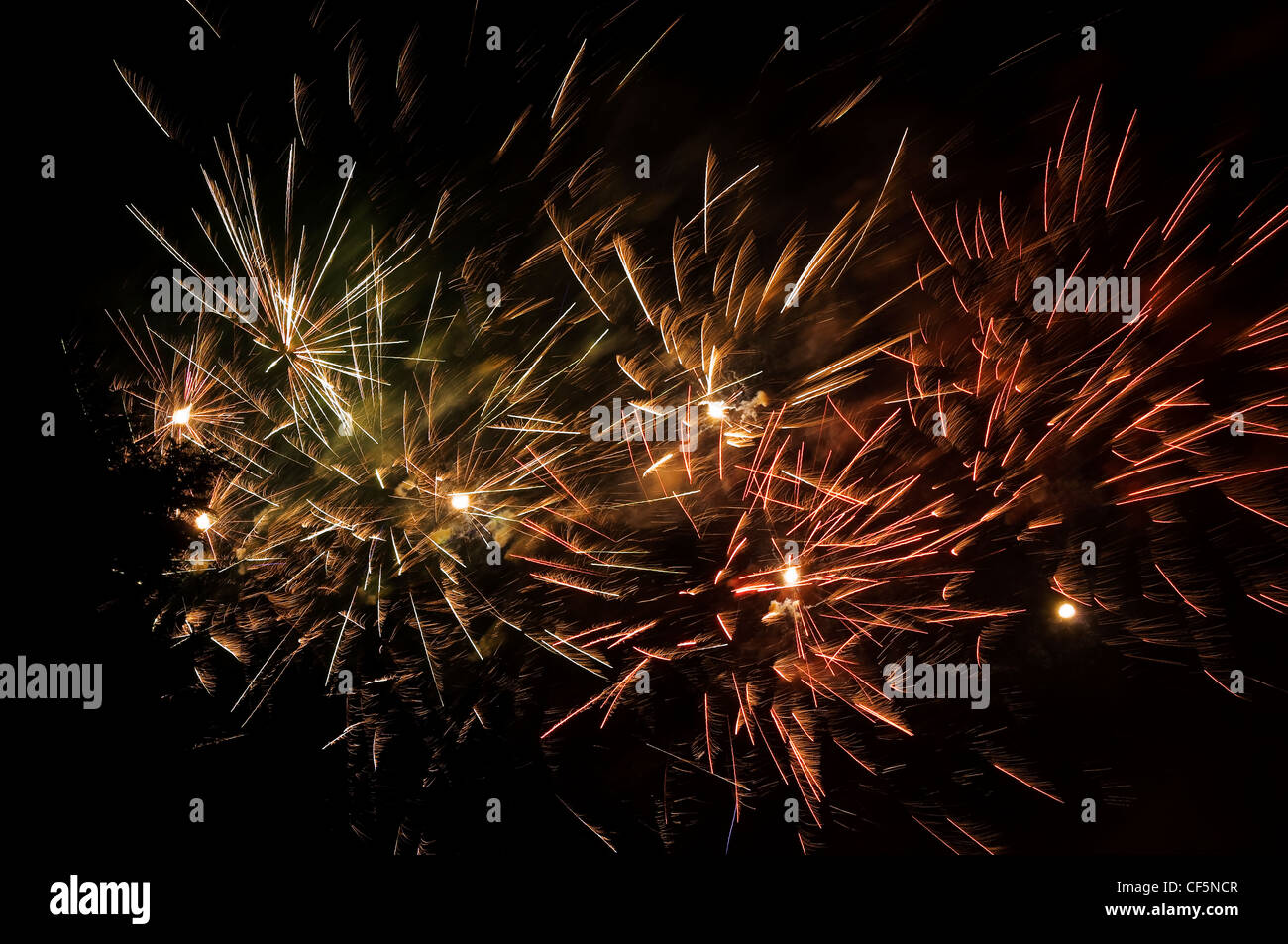 Spectacular trails of light from fireworks exploding in the evening sky ...