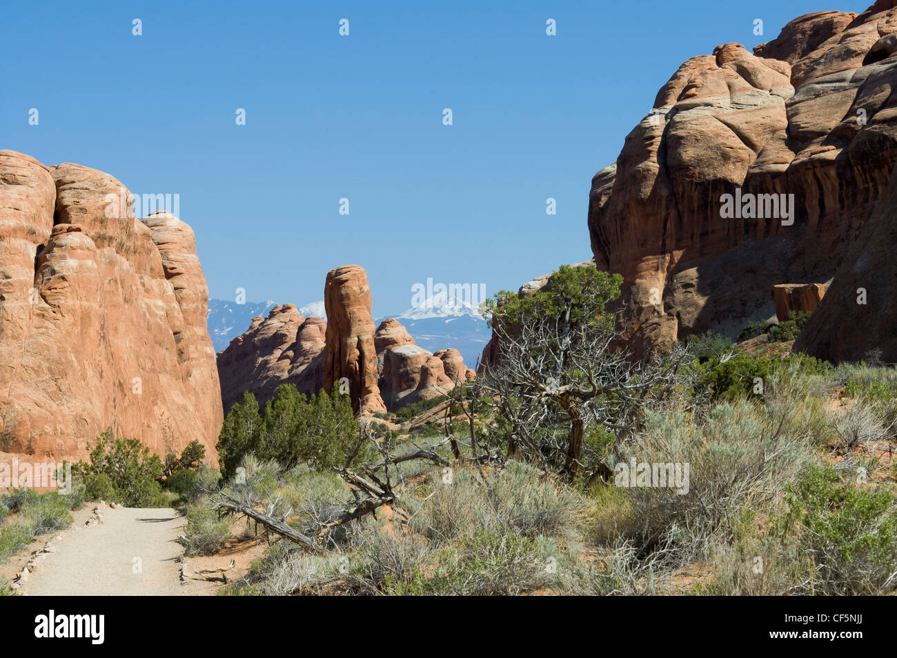 dirt road to Devils Garden on Arches National Park with mountains on ...