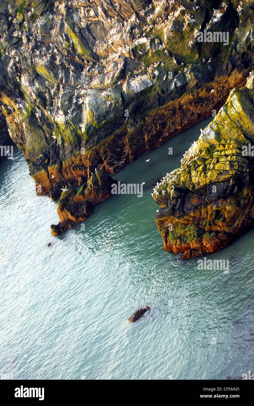 A view over the bay from the cliff path in Howth Stock Photo - Alamy