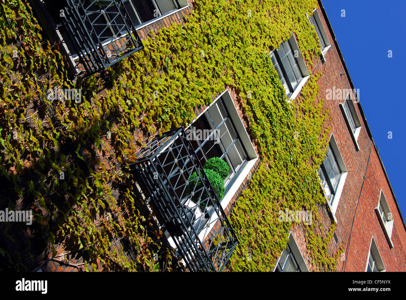 Georgian houses dublin hi-res stock photography and images - Alamy