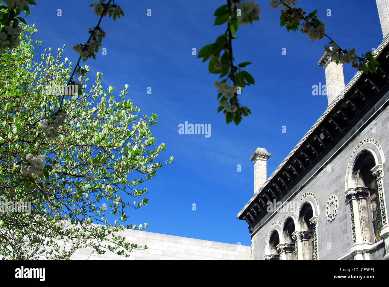 A view of the architecture at Trinity College in Dublin Stock Photo - Alamy