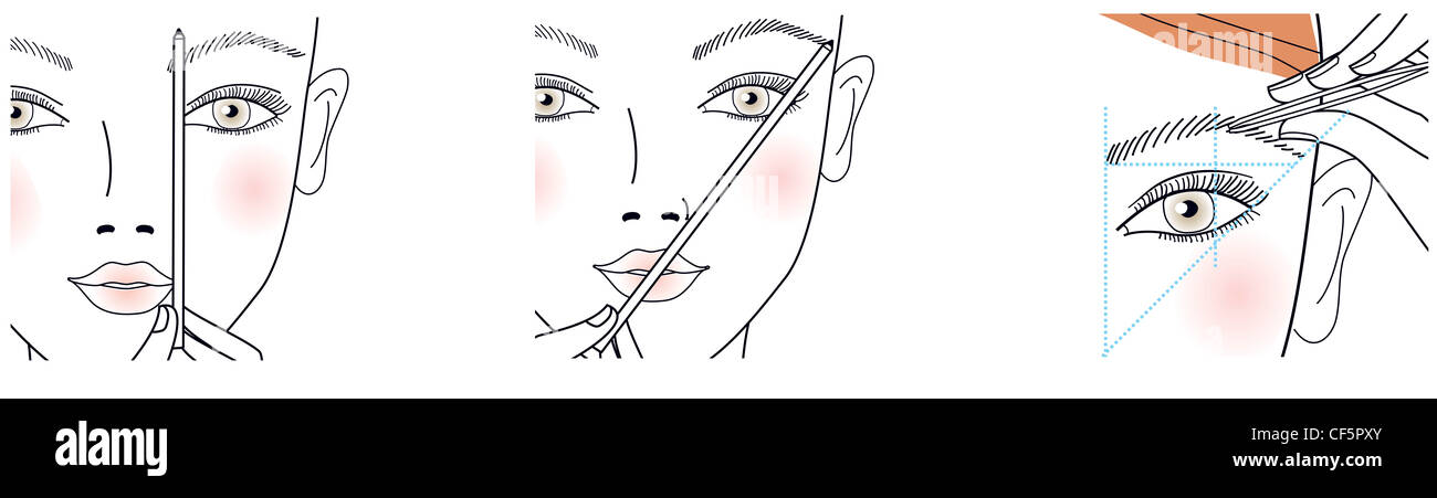 Step by Step How to shape your brows Shaping eyebrows, using a pencil ...