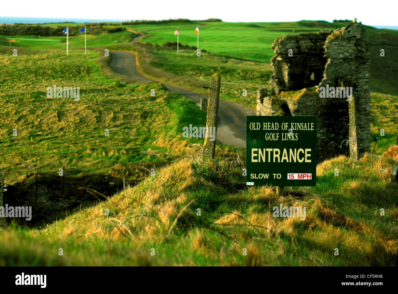 Old head golf hi-res stock photography and images - Alamy