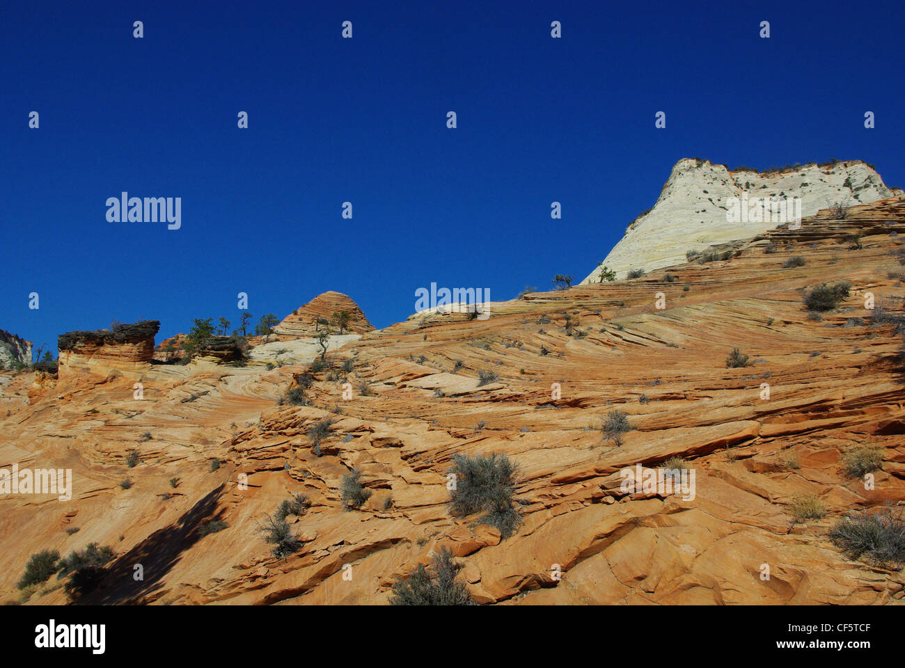 Orange layered rocks in Zion National Park, Utah Stock Photo - Alamy