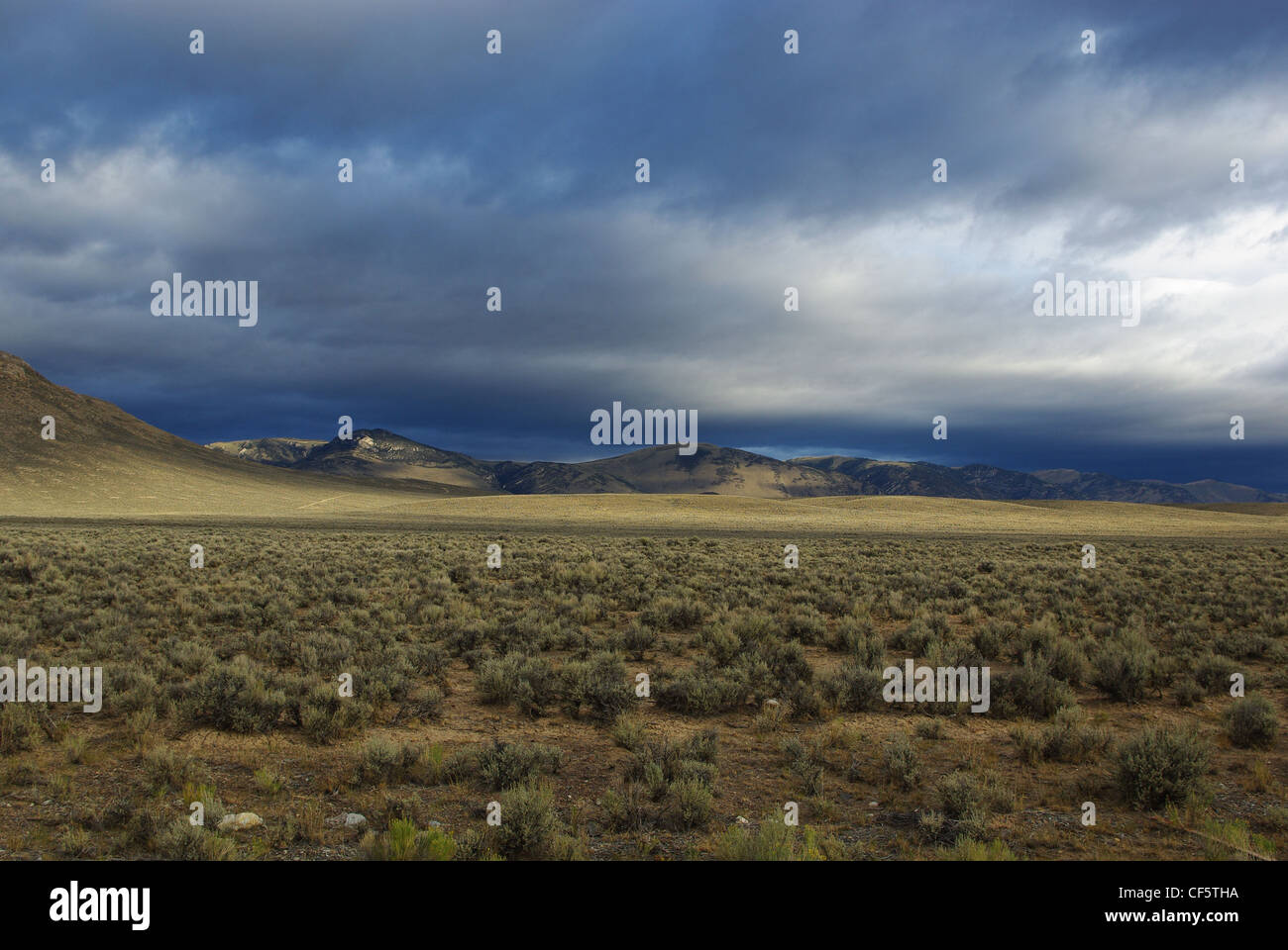 Lights and shadows in high desert, Nevada Stock Photo - Alamy